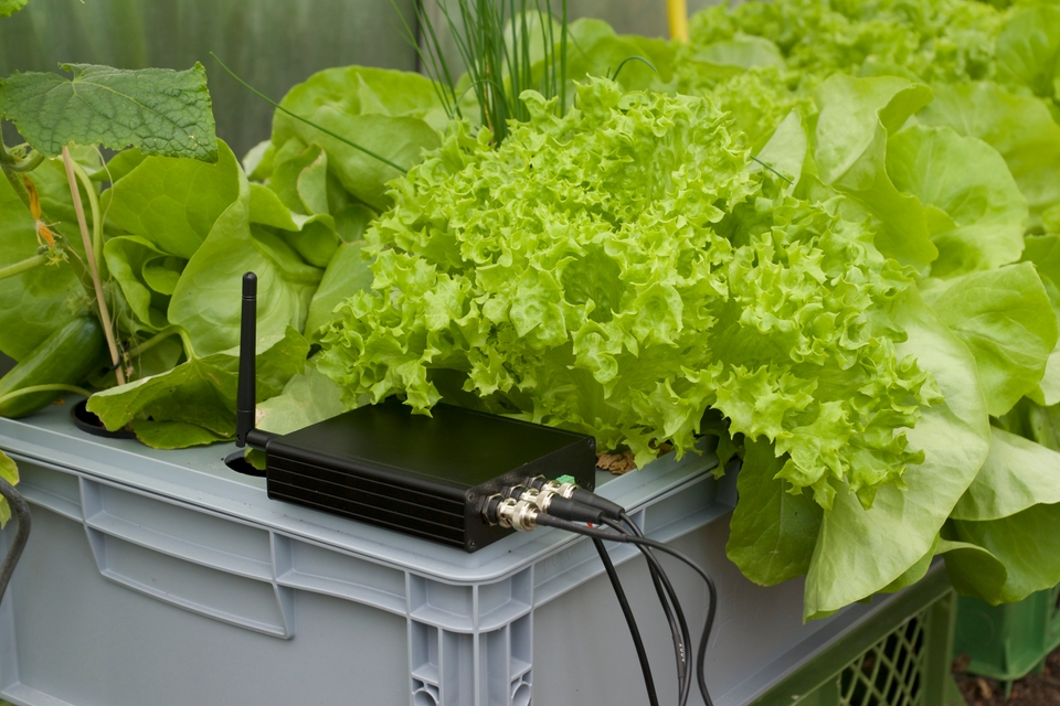 HydroGuard jetzt vorbestellen